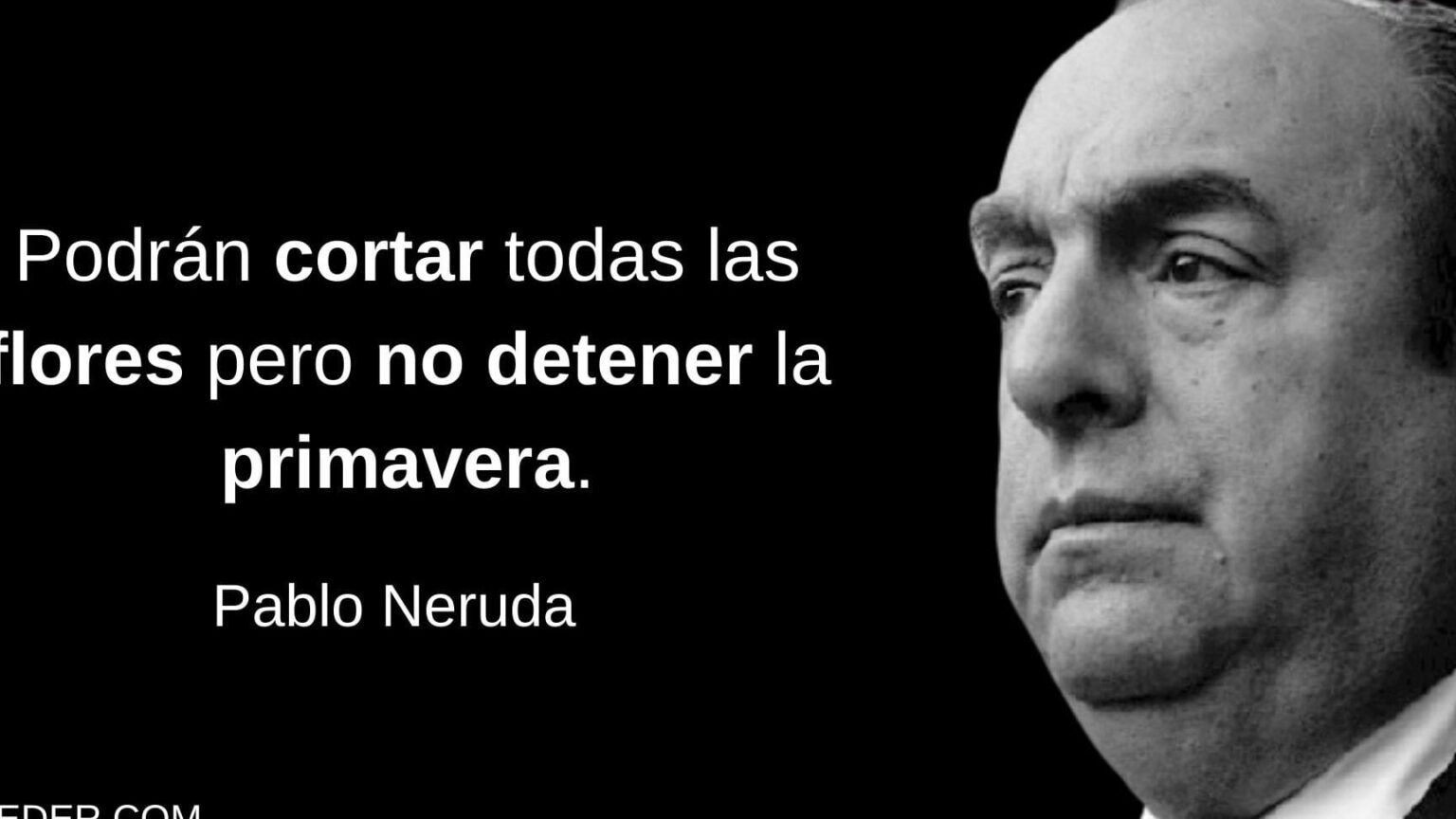 10 inspiradoras frases de escritores mexicanos para alimentar tu alma ...