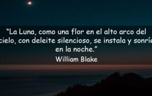 Brilla con estas 20 frases de estrellas para inspirarte | Todo Frases