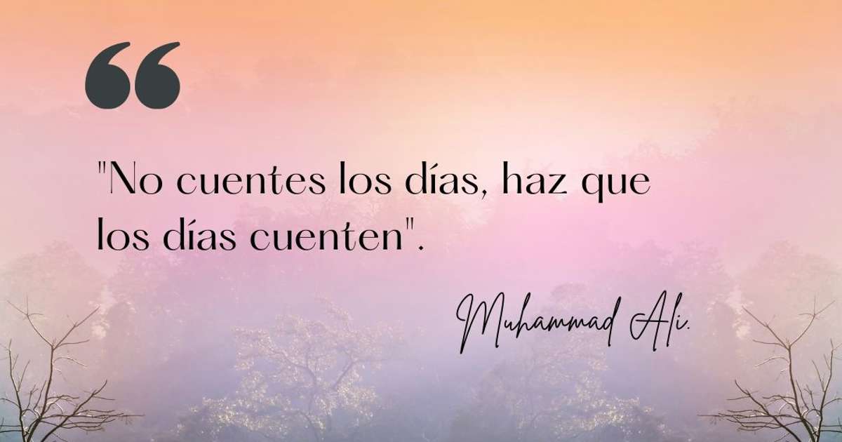 Las 10 mejores frases de Rapunzel que te inspirarán a alcanzar tus ...