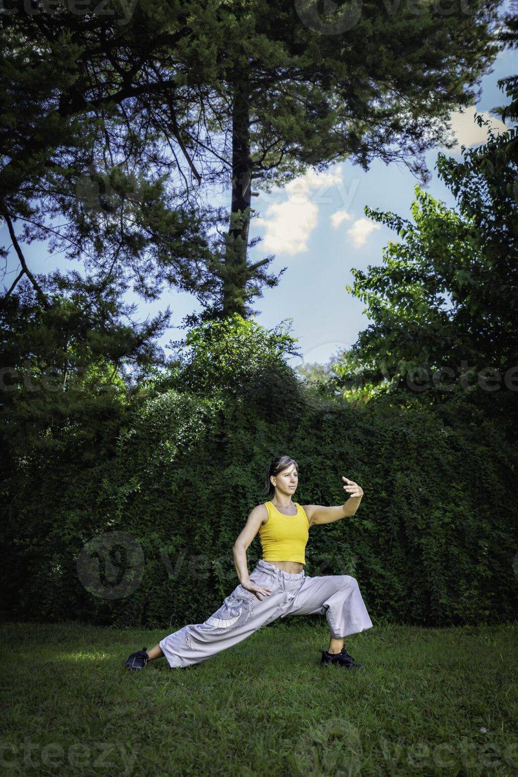 Cuál es la diferencia entre Tai chi y Chi Kung